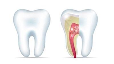 Signs You Might Need an Emergency Root Canal | Dentist in Birmingham